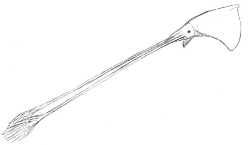 Spec: Artwork | Speculative Evolution Wiki | Fandom