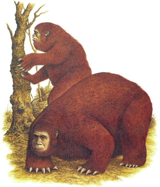 Book Review: Man After Man: An Anthropology of the Future by Dougal ...