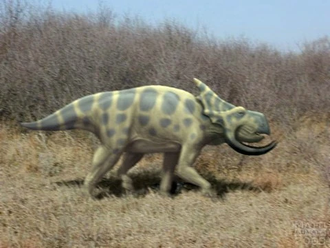 Spec Dinosauria: Dinoceratopsia | Speculative Evolution Wiki | Fandom