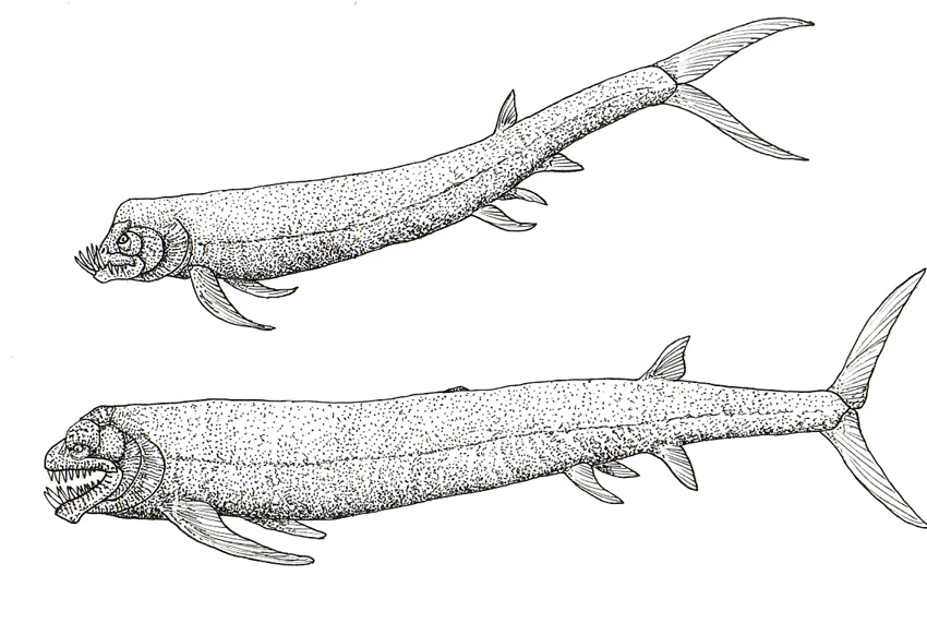 Spec: Osteichthyes | Speculative Evolution Wiki | Fandom