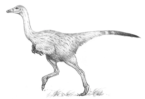 Spec Dinosauria: Troodontidae | Speculative Evolution Wiki | Fandom