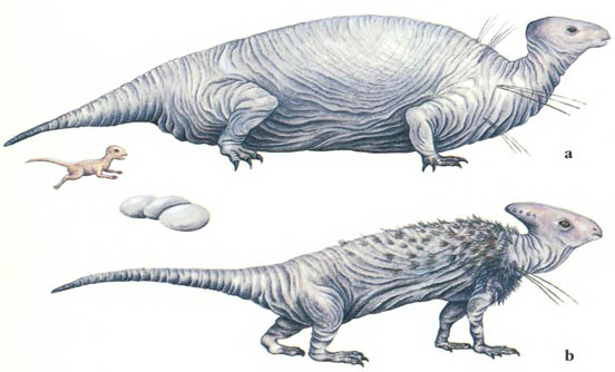 Gestalt Speculative Evolution Wiki Fandom
