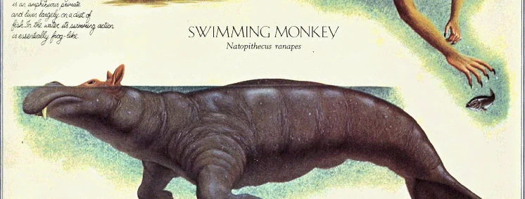 Mud-Gulper | Speculative Evolution Wiki | Fandom