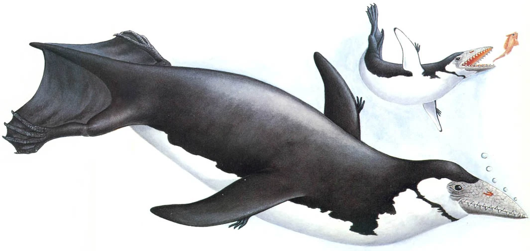 Plunger | Speculative Evolution Wiki | Fandom