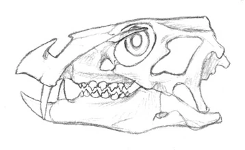 Spec Dinosauria: Rhynchoraptoria | Speculative Evolution Wiki | Fandom