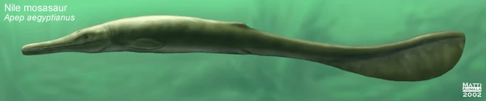 Spec: Mosasauria | Speculative Evolution Wiki | Fandom
