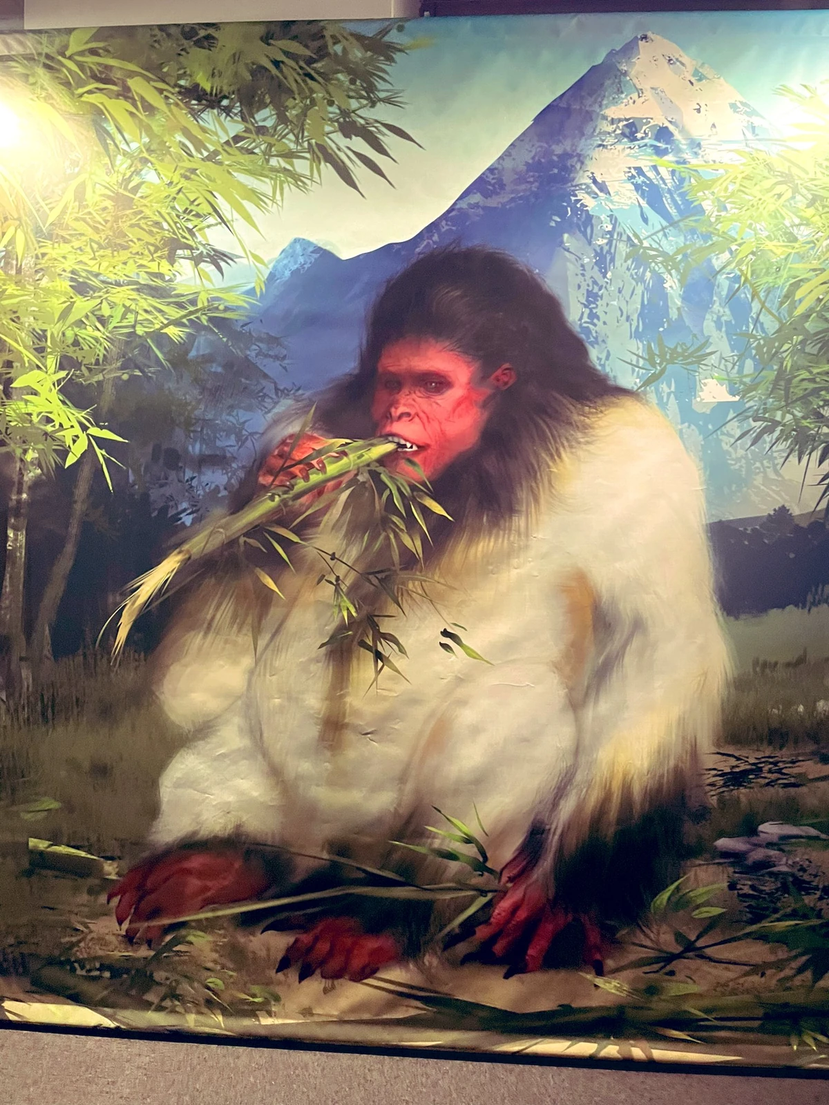 Macaqueti | Speculative Evolution Wiki | Fandom