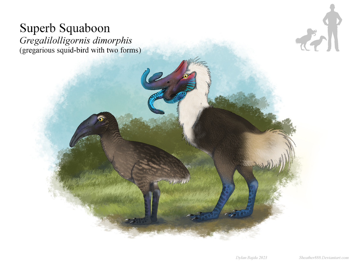 Squaboons Speculative Evolution Wiki Fandom