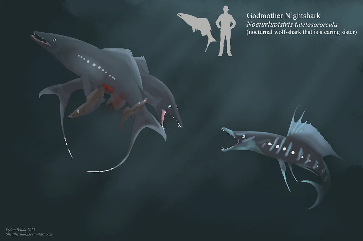 Nightsharks | Speculative Evolution Wiki | Fandom