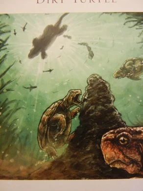 Dirt turtle | Speculative Evolution Wiki | Fandom