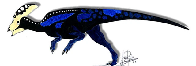 Spec Dinosauria: Euclasauria | Speculative Evolution Wiki | Fandom