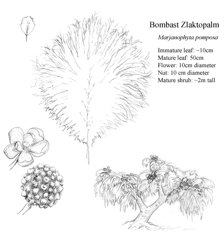 Spec: Plantae | Speculative Evolution Wiki | Fandom