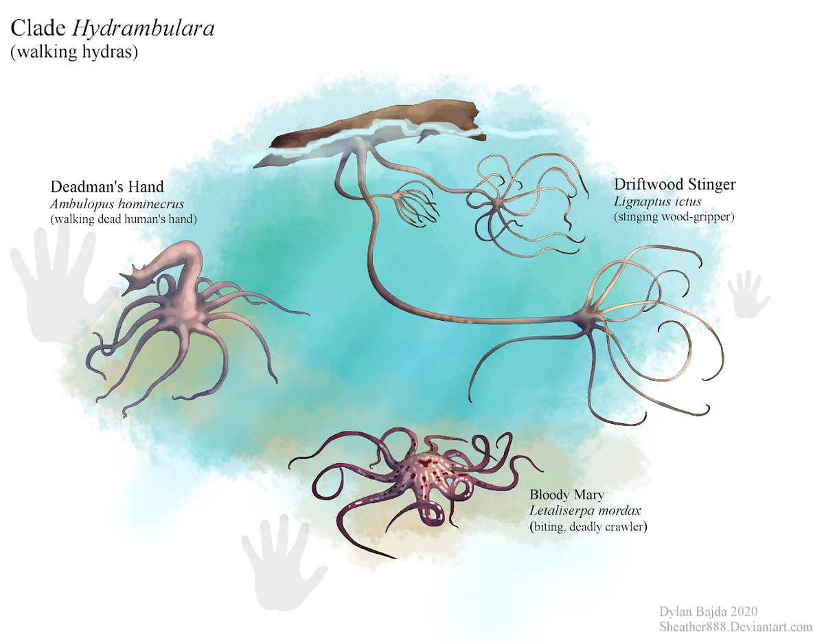 Walking Hydras | Speculative Evolution Wiki | Fandom