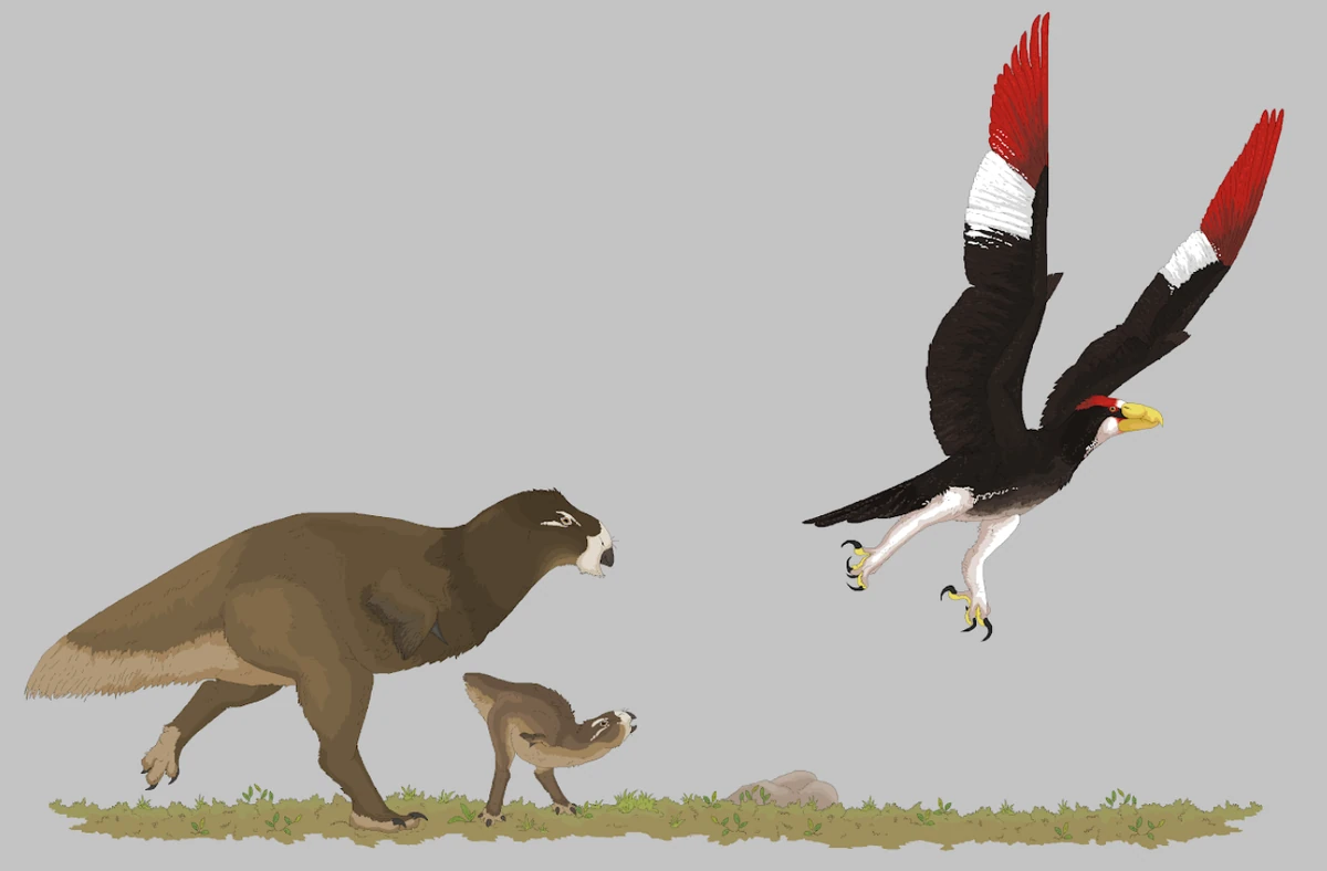 Falconaries | Speculative Evolution Wiki | Fandom