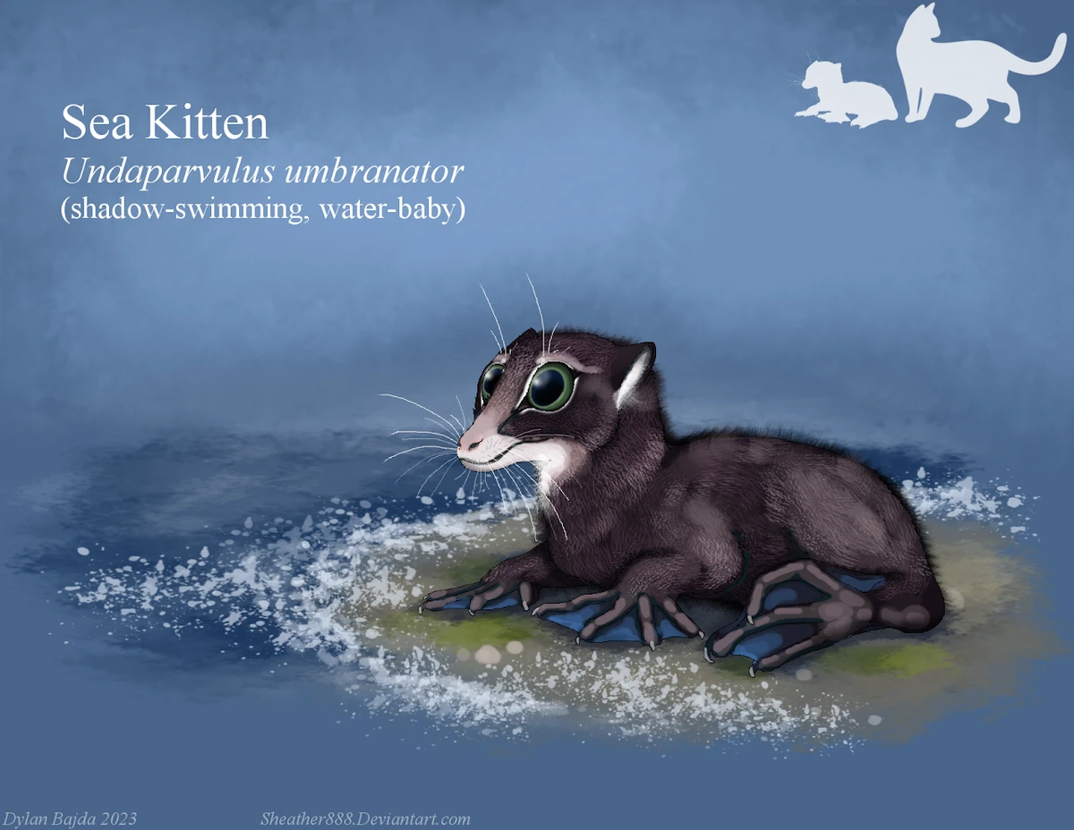 Sea kitten | Speculative Evolution Wiki | Fandom