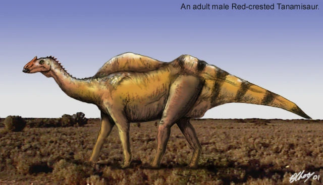 Spec Dinosauria: Euclasauria | Speculative Evolution Wiki | Fandom