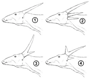 Spec Dinosauria: Ungulapedia | Speculative Evolution Wiki | Fandom