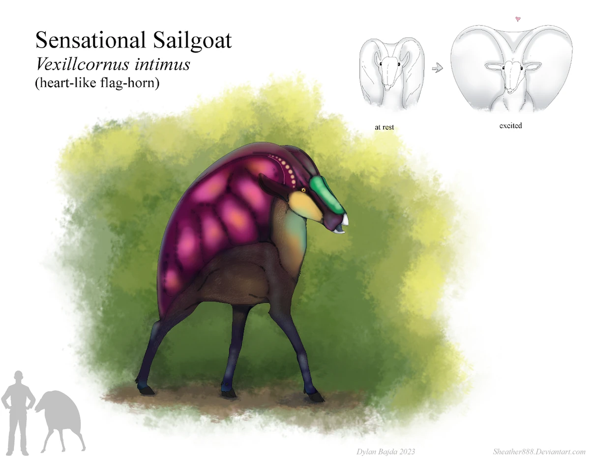 Sensational Sailgoat | Speculative Evolution Wiki | Fandom