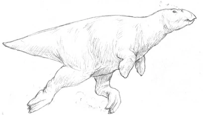 Spec: Artwork | Speculative Evolution Wiki | Fandom