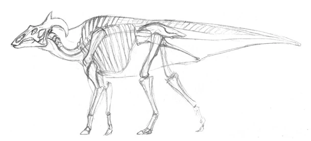Spec Dinosauria: Ungulapedia | Speculative Evolution Wiki | Fandom