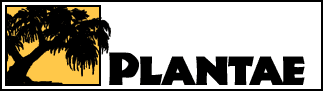 Spec: Plantae | Speculative Evolution Wiki | Fandom