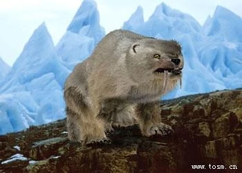 Snowstalker | Speculative Evolution Wiki | Fandom