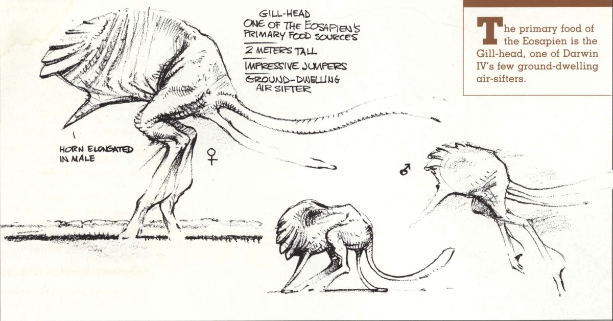 Gill-Head | Speculative Evolution Wiki | Fandom