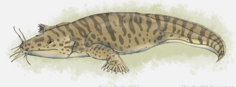Roly-poly Flopfish | Speculative Evolution Wiki | Fandom