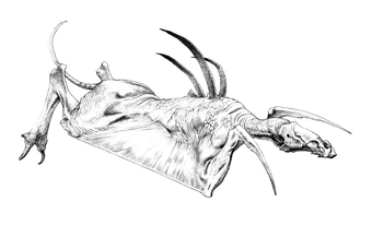 Daggerwrist | Speculative Evolution Wiki | Fandom