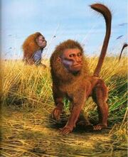Babookari | Speculative Evolution Wiki | Fandom