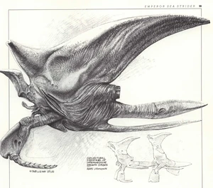 Emperor Sea Strider | Speculative Evolution Wiki | Fandom