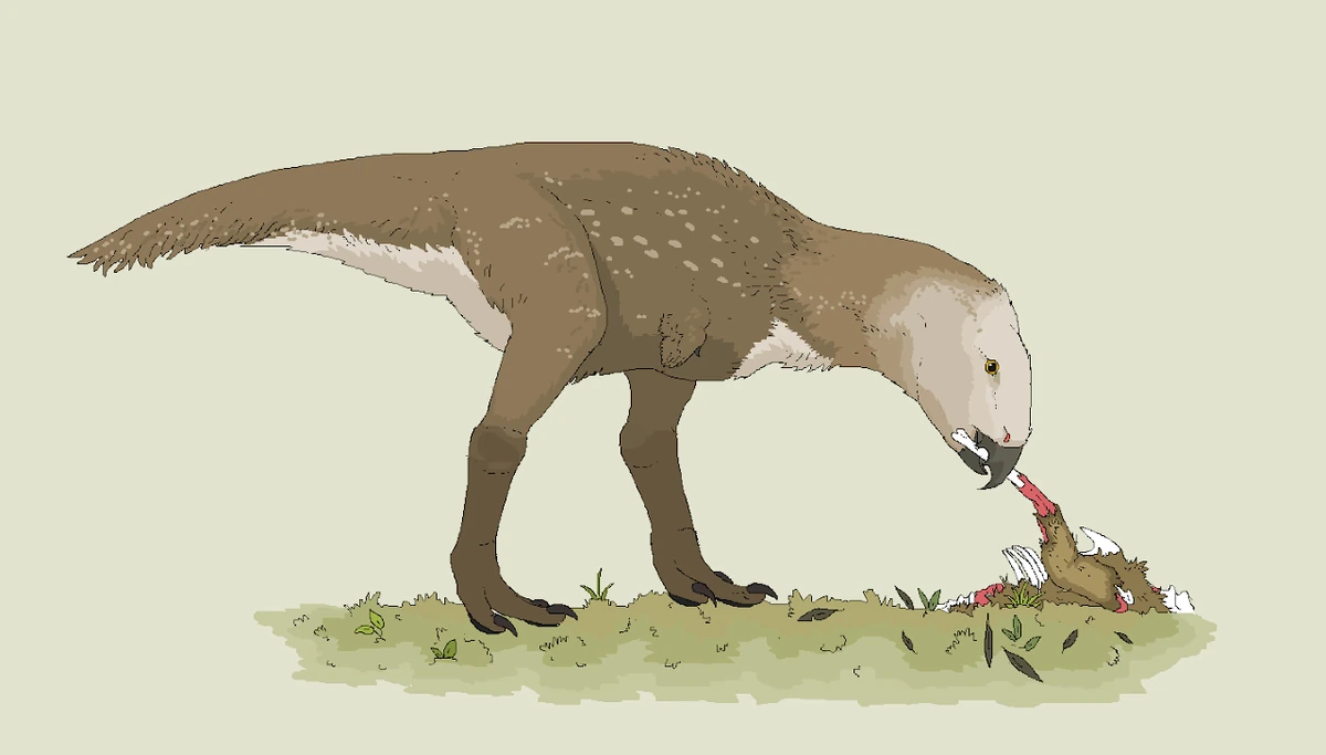 Boarbirds | Speculative Evolution Wiki | Fandom