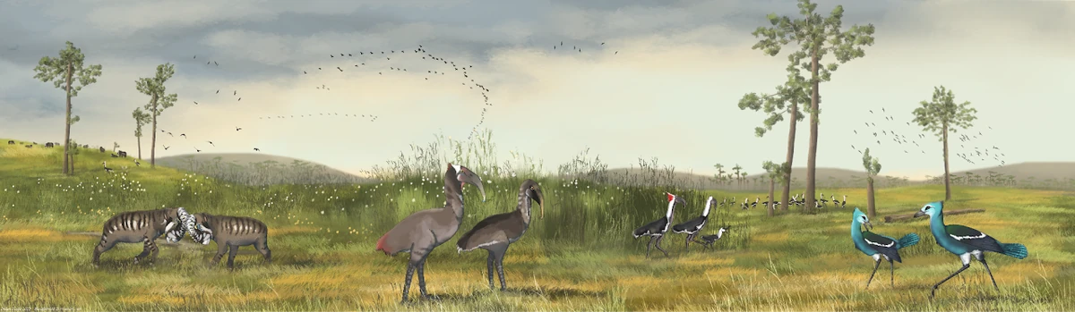 The Uplands | Speculative Evolution Wiki | Fandom