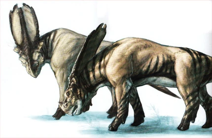 Tree-Tops | Speculative Evolution Wiki | Fandom