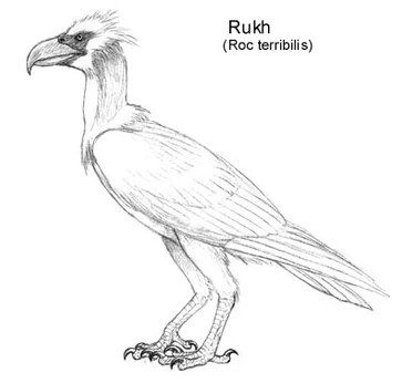 Spec Dinosauria: Rociformes | Speculative Evolution Wiki | Fandom