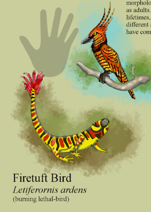 Firetuft Bird | Speculative Evolution Wiki | Fandom