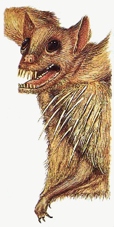 Nightglider | Speculative Evolution Wiki | Fandom