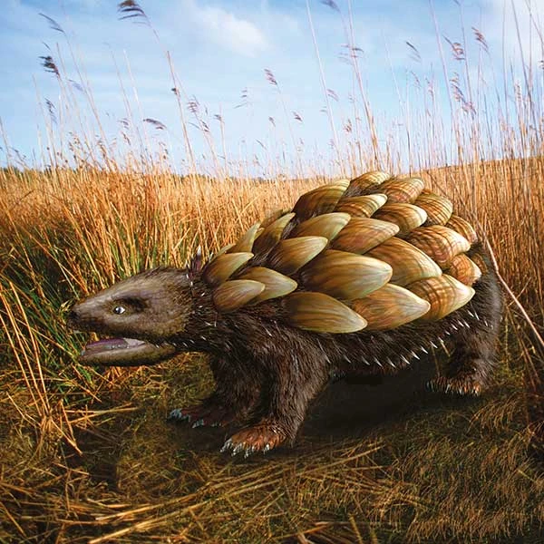 Grassland Rattleback | Speculative Evolution Wiki | Fandom