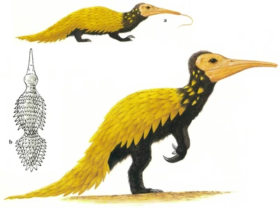 Pangaloon | Speculative Evolution Wiki | Fandom