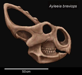 Spec: The History of Spec World | Speculative Evolution Wiki | Fandom