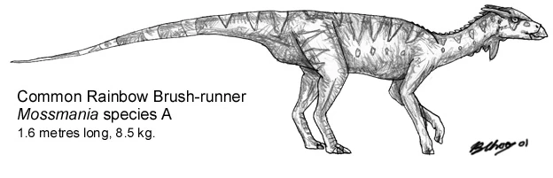 Spec Dinosauria: Euclasauria | Speculative Evolution Wiki | Fandom
