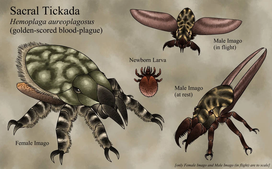 Tickadas | Speculative Evolution Wiki | Fandom