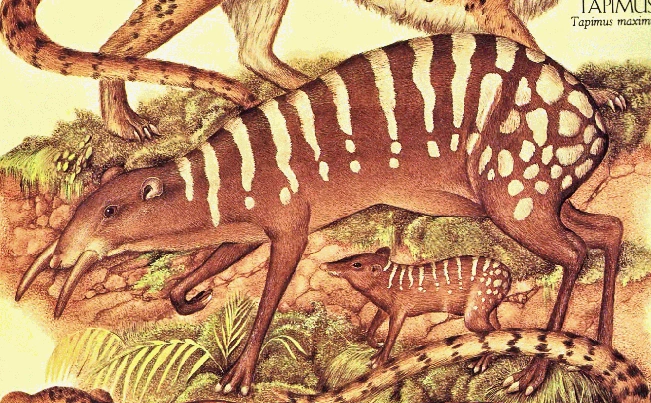 Tapimus | Speculative Evolution Wiki | Fandom