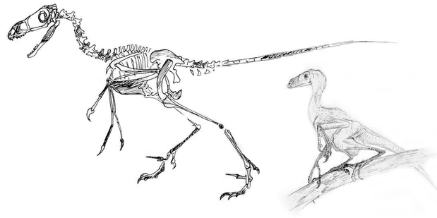 Spec: The History of Spec World | Speculative Evolution Wiki | Fandom