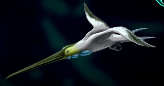 Spearbird | Speculative Evolution Wiki | Fandom