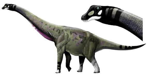 Spec Dinosauria: Titanosauria | Speculative Evolution Wiki | Fandom