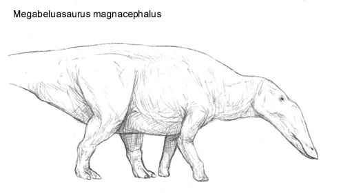 Spec: The History of Spec World | Speculative Evolution Wiki | Fandom