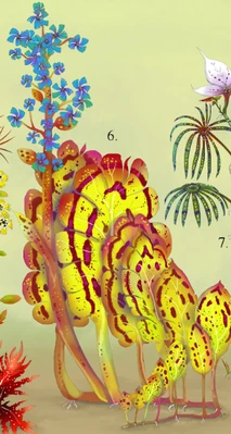 Suncatcher | Speculative Evolution Wiki | Fandom