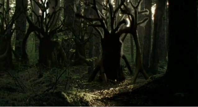 Lichen tree | Speculative Evolution Wiki | Fandom