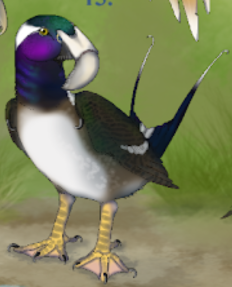 Wire Tailed Shellshuck Speculative Evolution Wiki Fandom